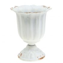 Floristik24.sk Starožitný pohár Rustikálny biely Ø12cm H14cm-64349