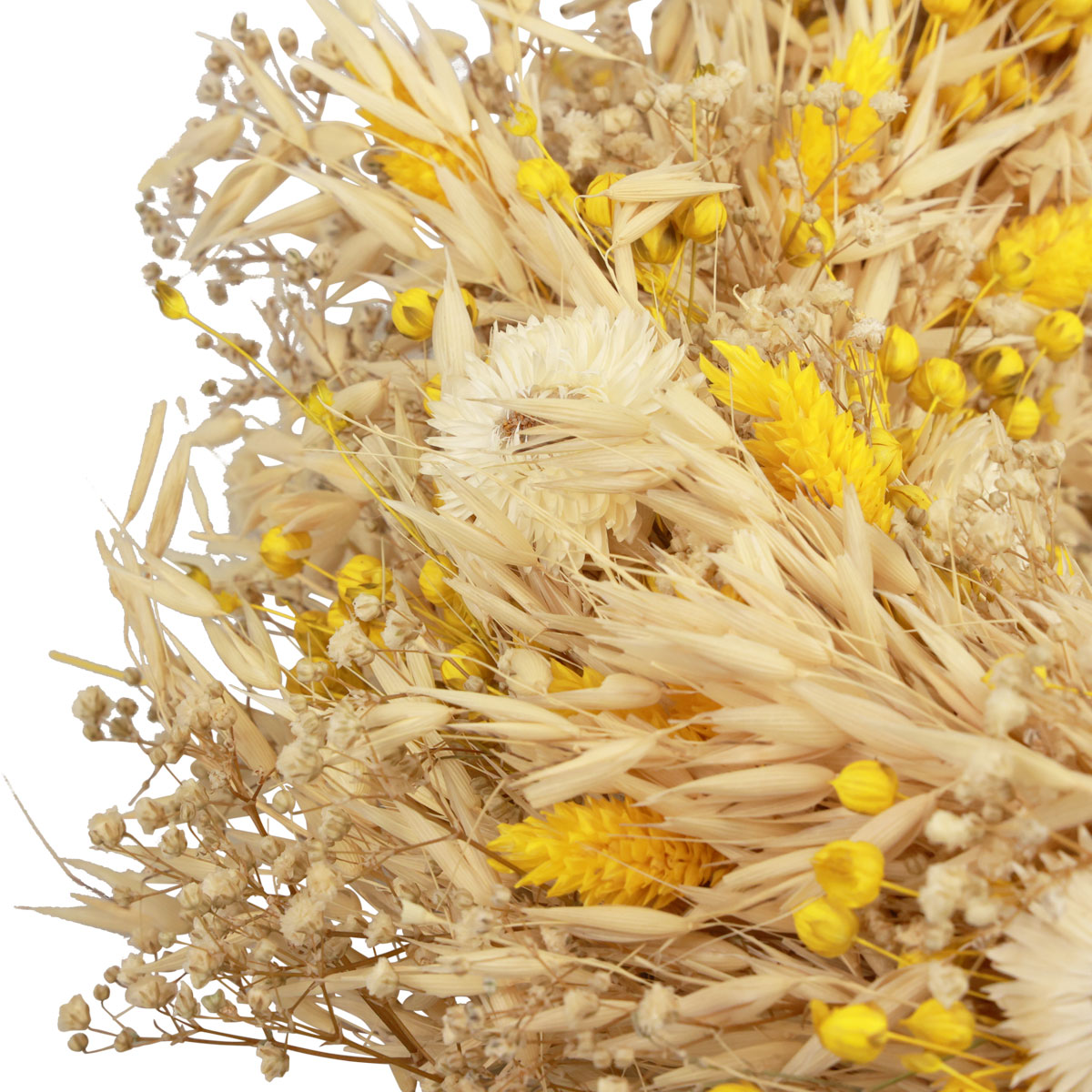 Floristik24.sk Ozdobný veniec ovsený veniec prírodný veniec slamené ...